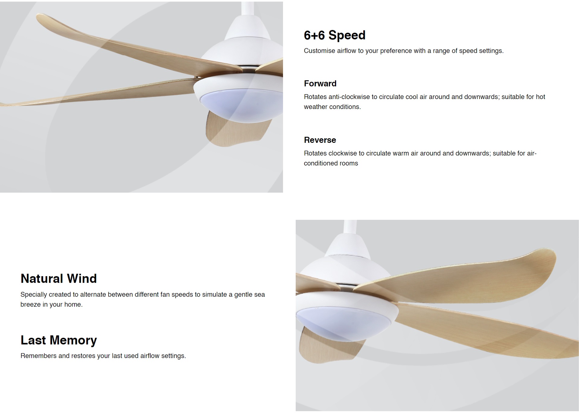 ALPHA,5 BLADES CEILING FAN,CEILING FAN,DC MOTOR CEILING FAN,REMOTE CONTROL CEILING,Vannus,Luna ...